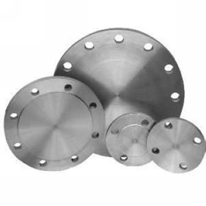 DIN2527 Blind Flange,SS304/304L,316/316L PN40 BL RF Flange - Buy ...